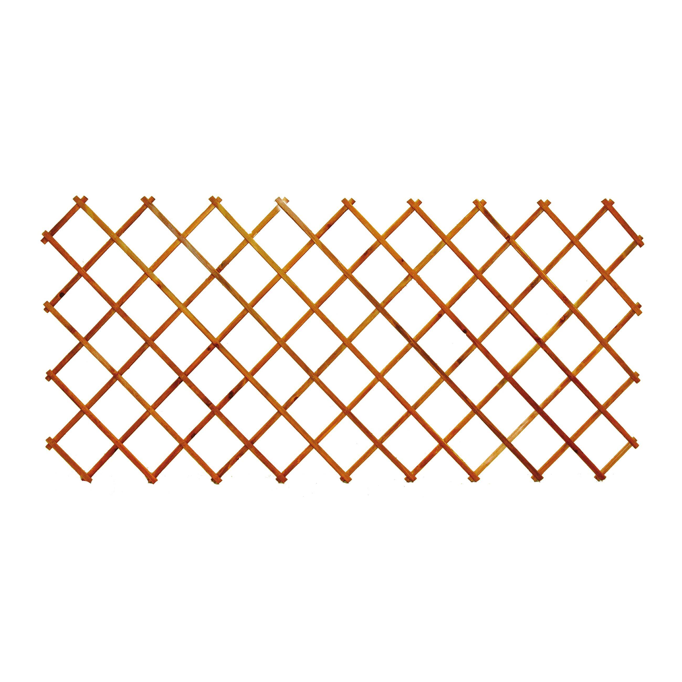Traliccio estensibile in abete L 50 x H 200 cm , spessore 10 mm - 1